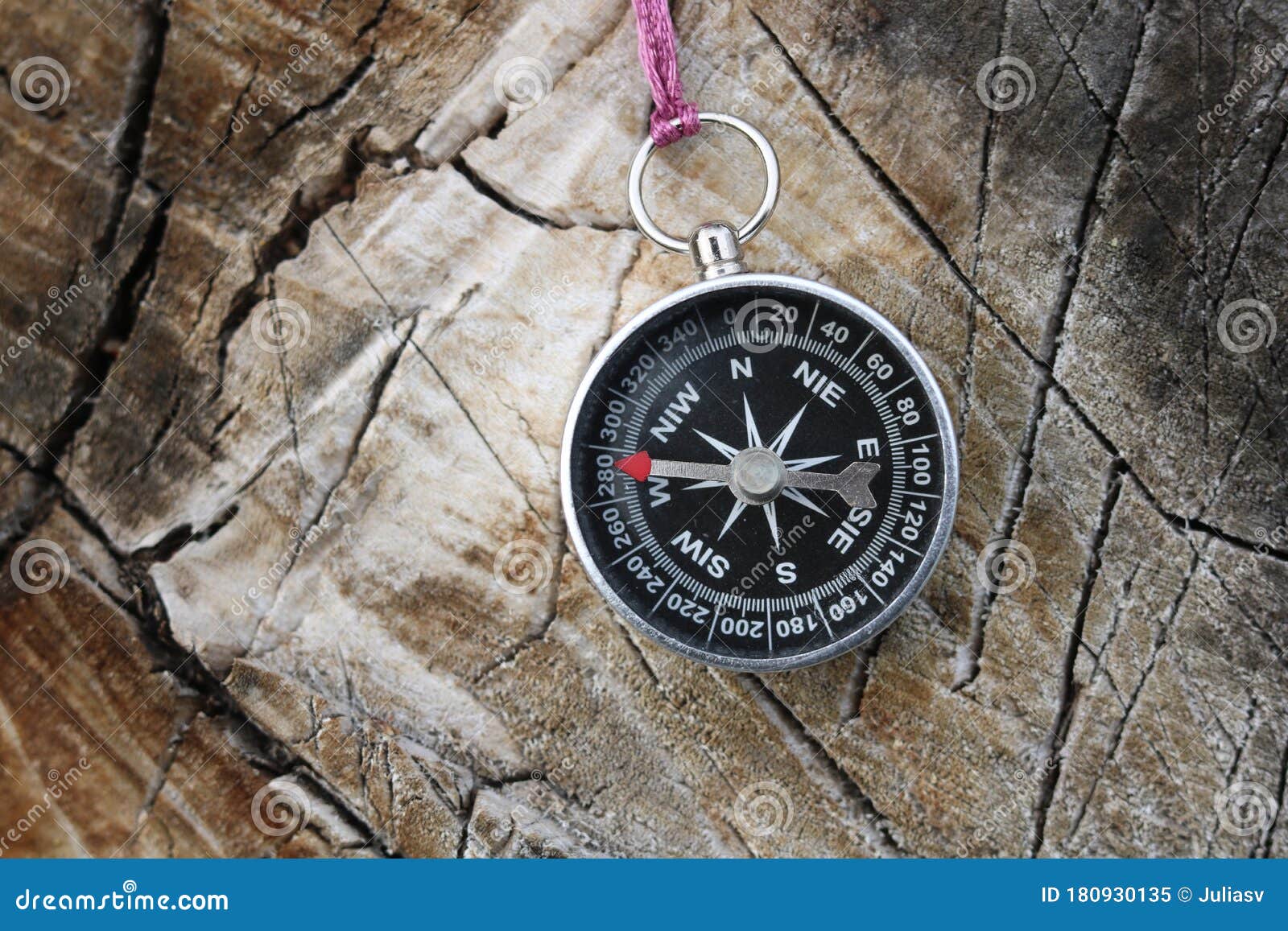 Old Compass on Tree in Forest Stock Image - Image of colorful, guidance ...