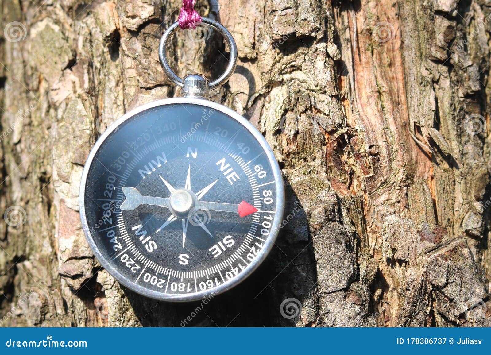 Old Iron Compass on Tree in Forest Stock Image - Image of direction ...