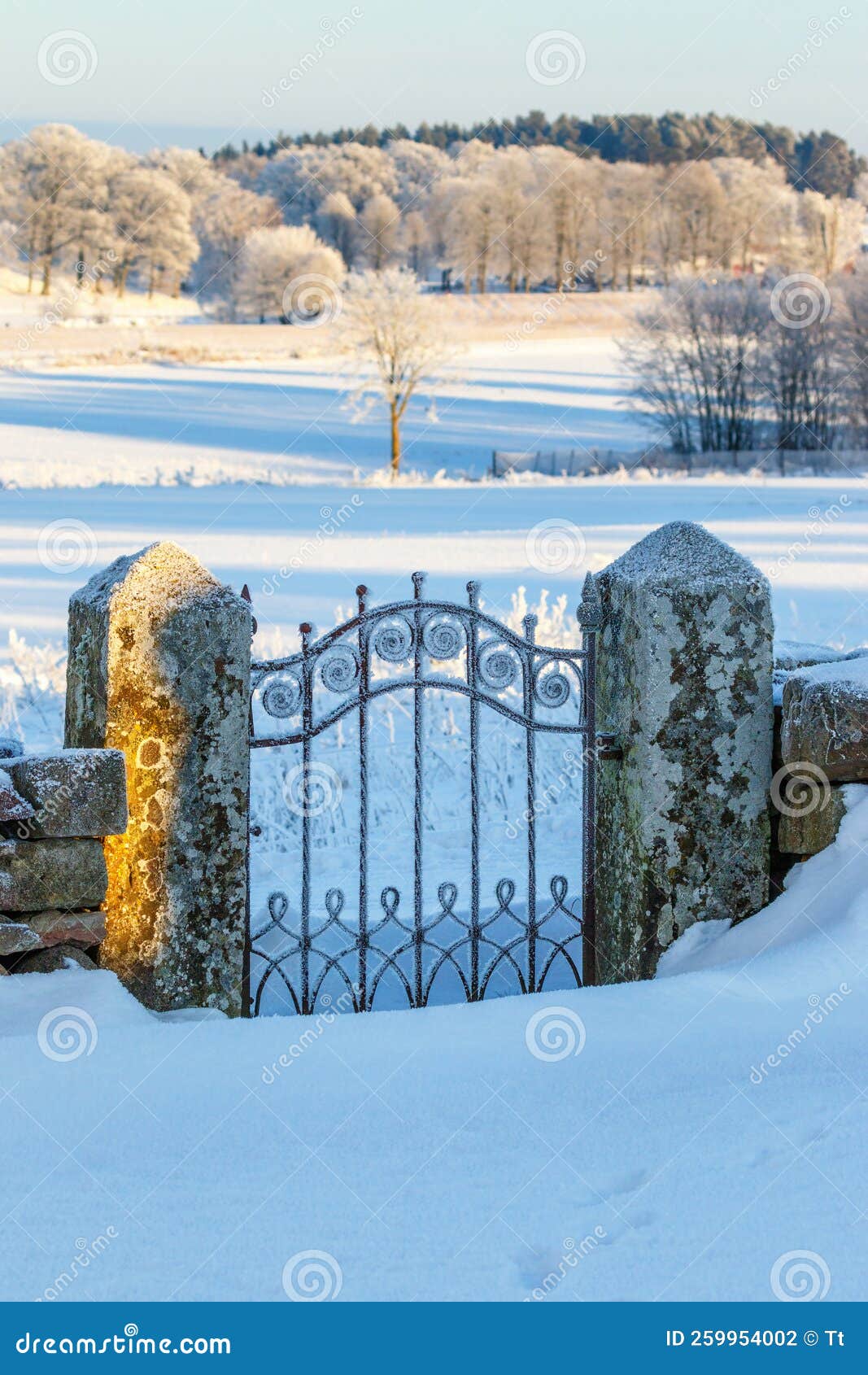 Old Iron Gate in a Snowy Winter Landscape Stock Photo - Image of view ...