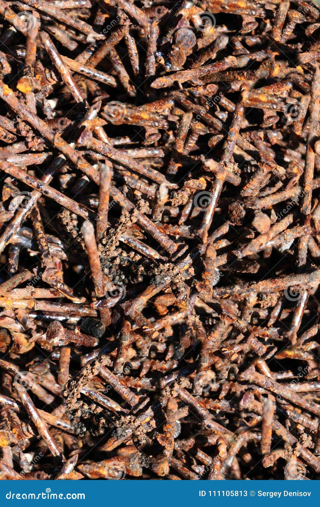 Row Of Iron Nails Isolated On White Stock Photo | CartoonDealer.com ...