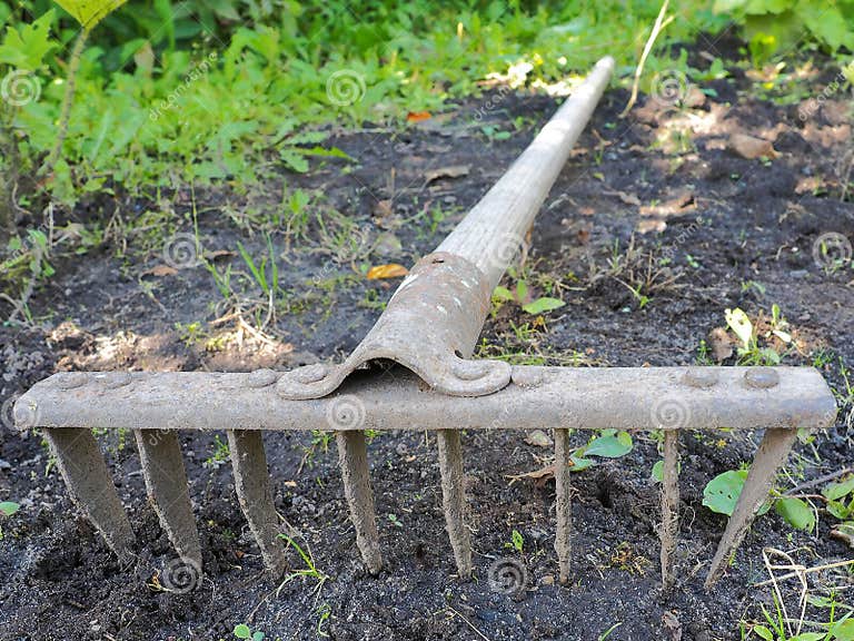Old Iron Rake Lying Down the Ground. Stock Image - Image of plough ...