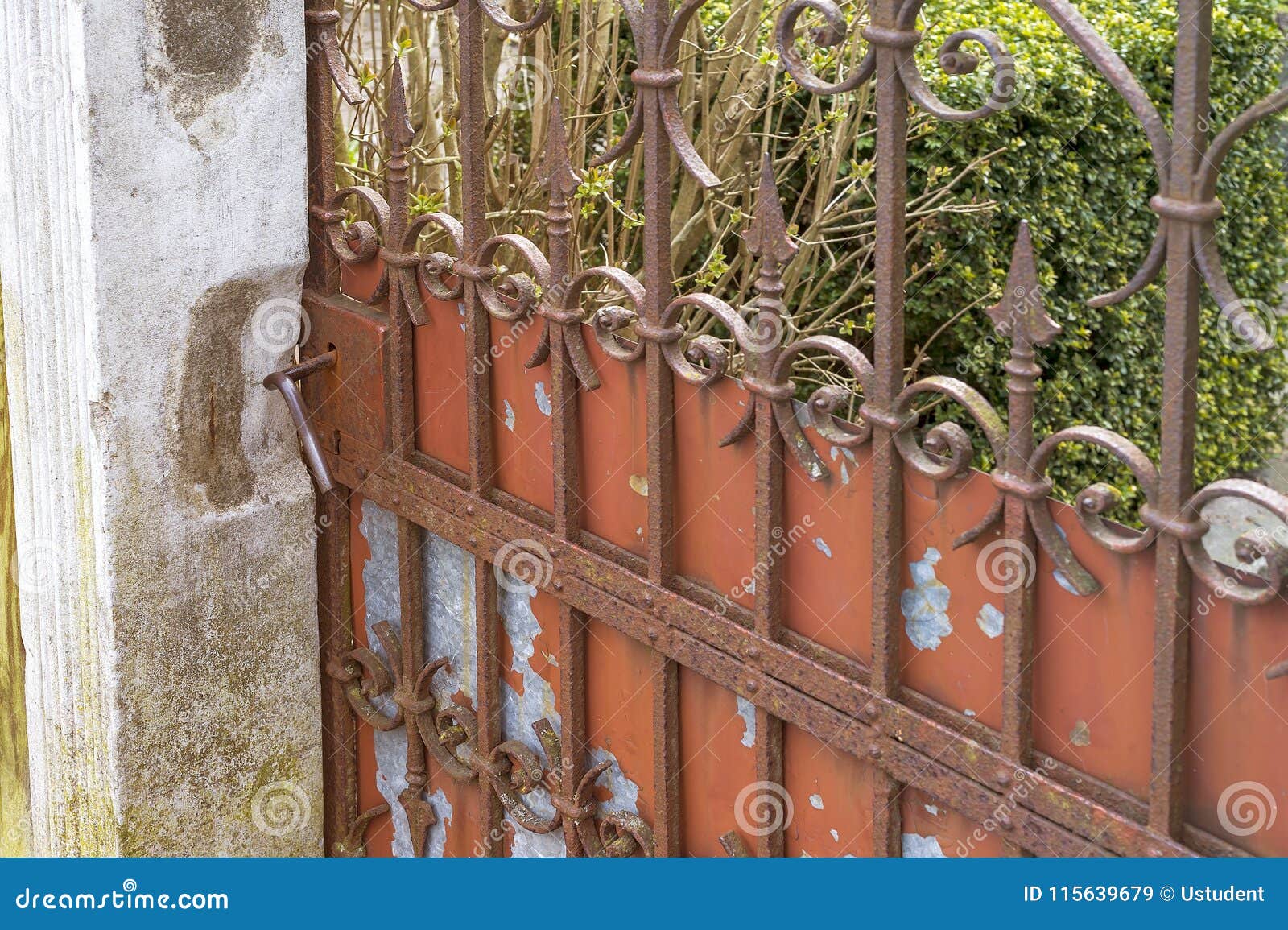 Old iron rusty gate stock image. Image of ancient, white - 115639679
