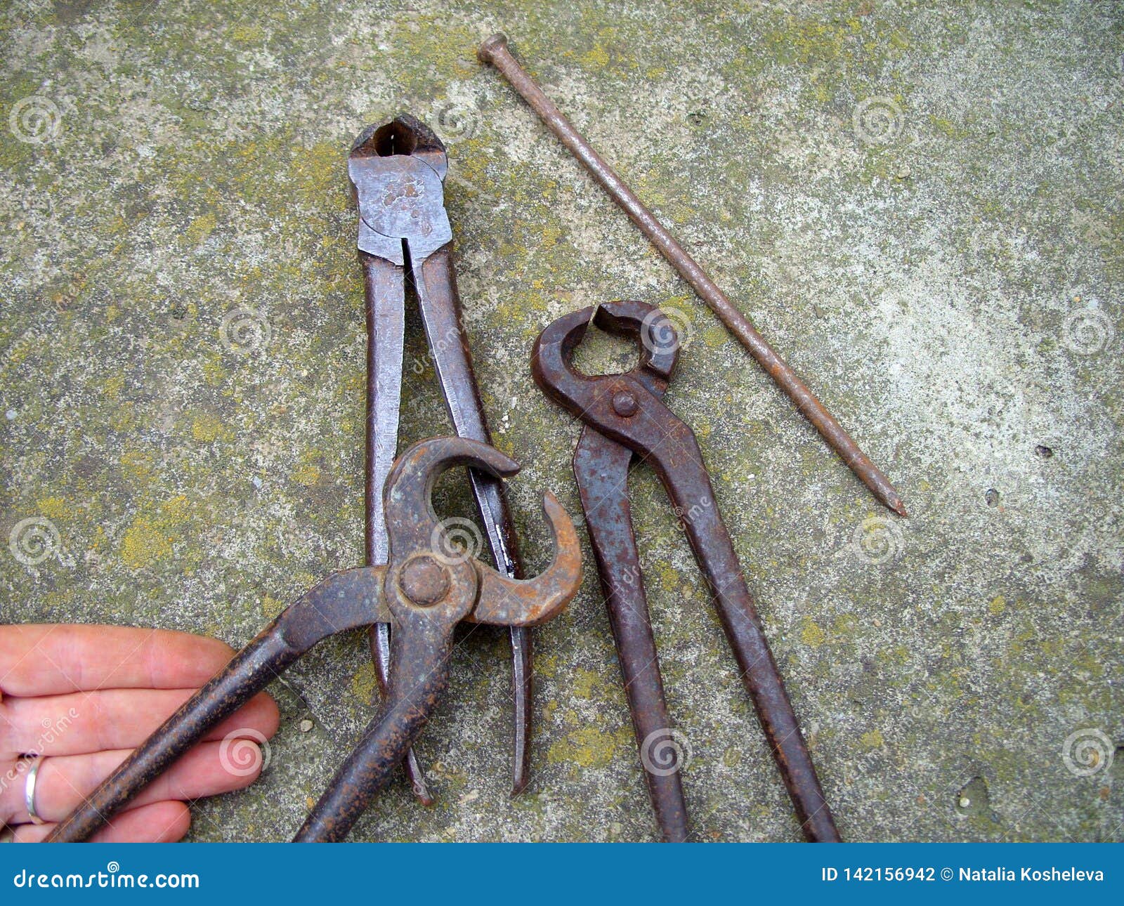 Old iron tools stock photo. Image of door, antique, chains - 142156942