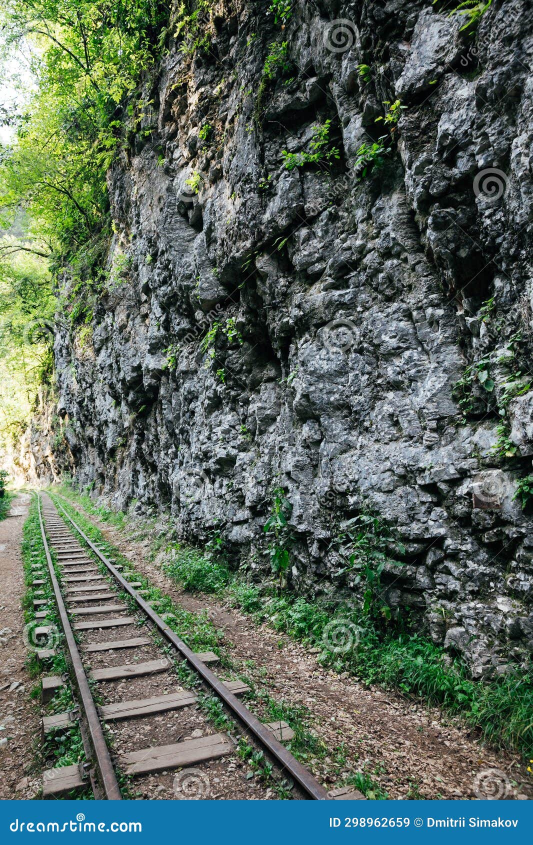 Old Iron Work by a Rock in a Green Forest Stock Image - Image of ...