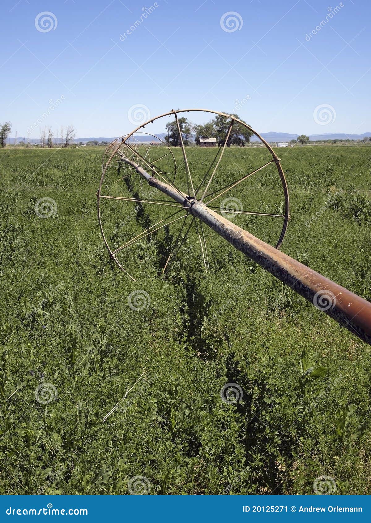 Old Irrigation Line stock image. Image of farm, pipeline - 20125271