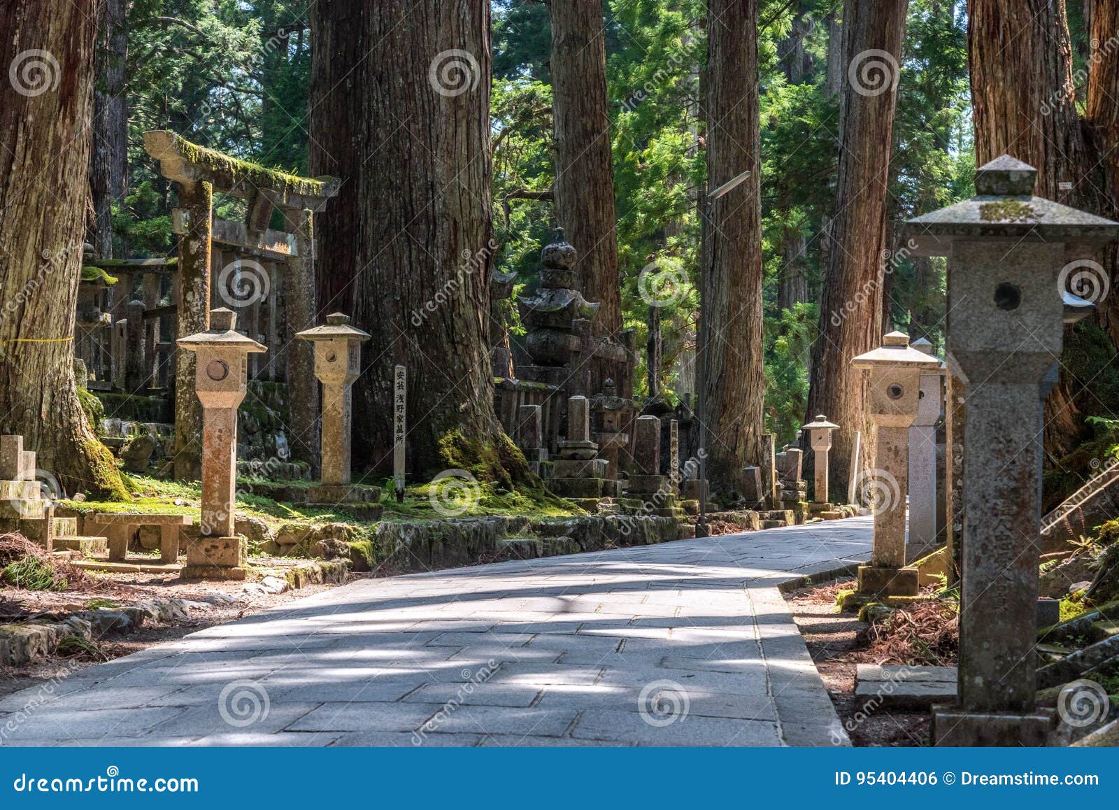 Old Japanese graveyard stock photo. Image of grave, protected - 95404406