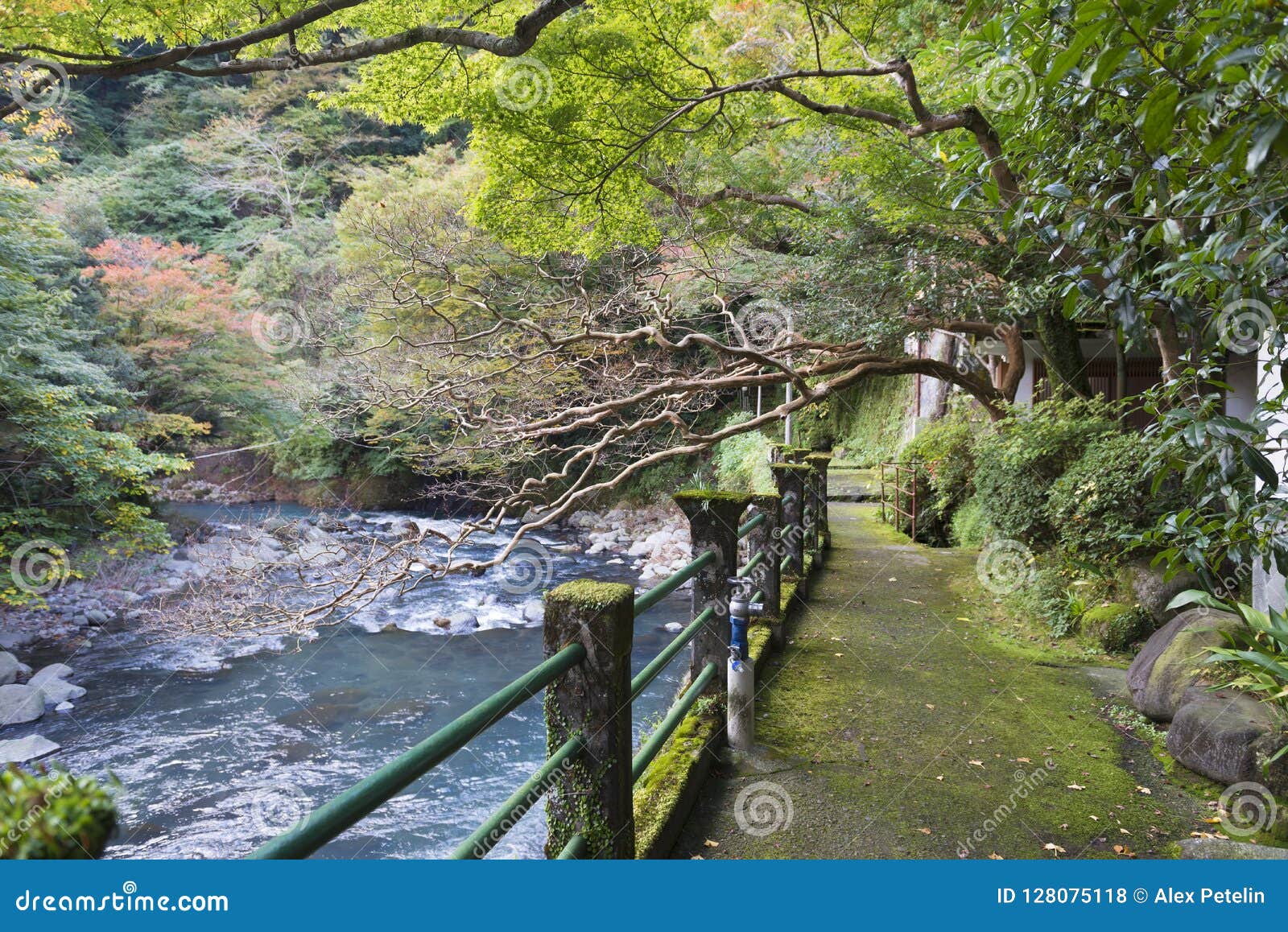 Old Japanese River Embankment Stock Photo - Image of east, culture ...