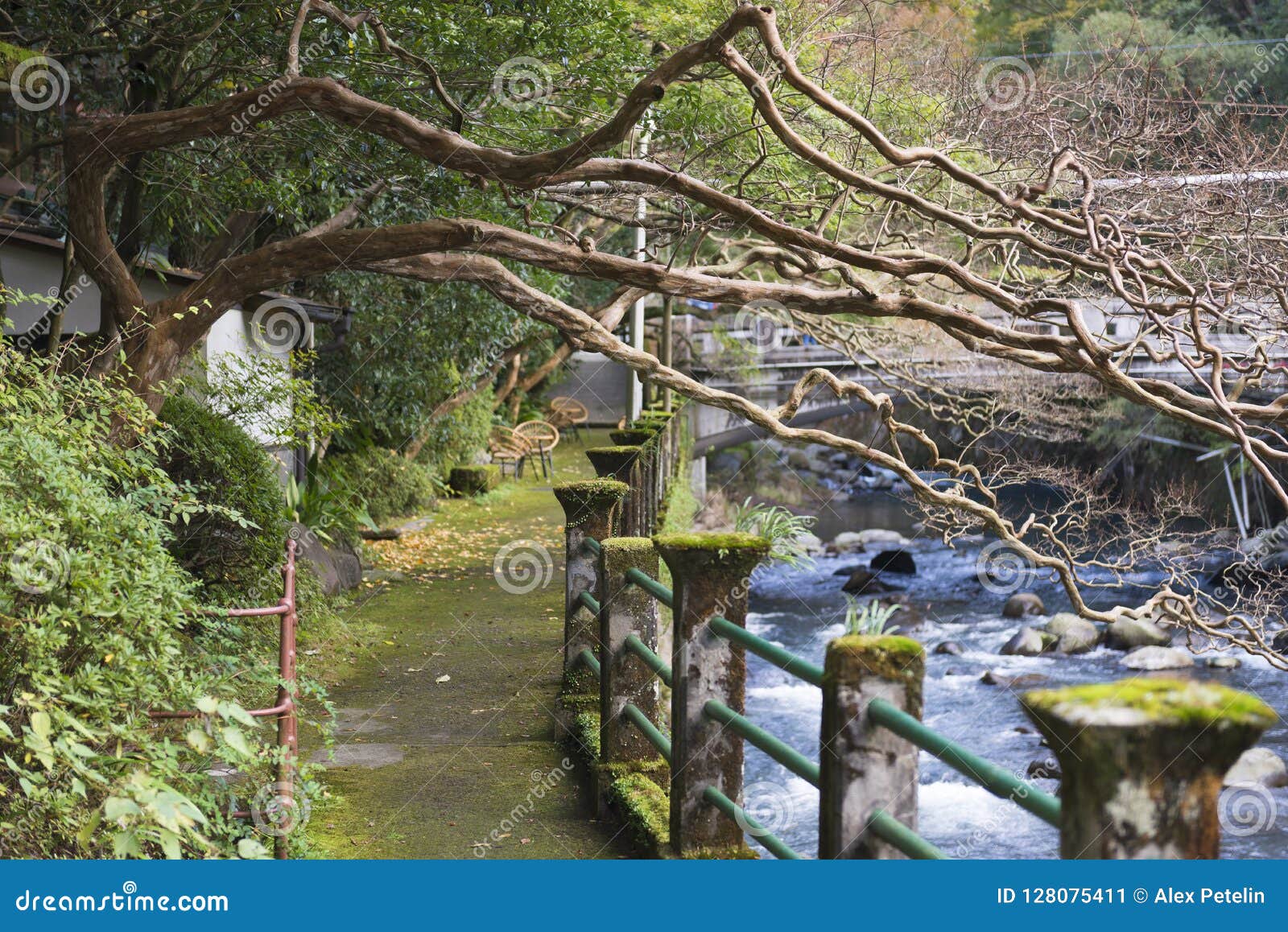 Old Japanese River Embankment Stock Image - Image of covered, landmark ...