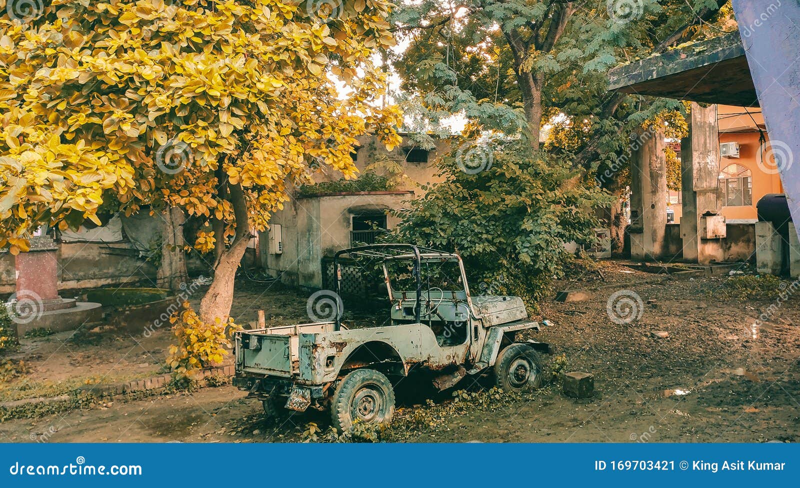 An old jeep under a tree stock image. Image of tree - 169703421
