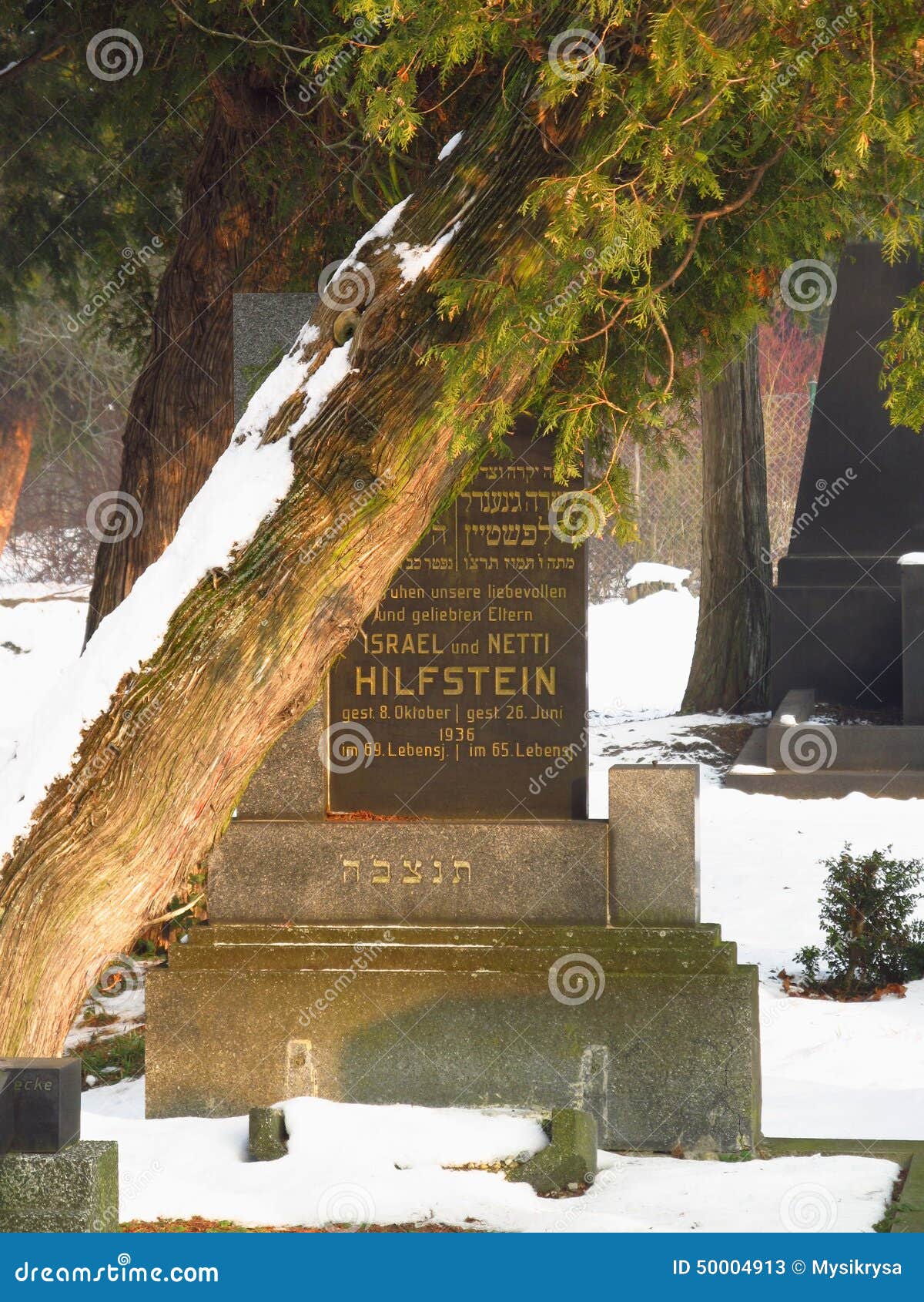 Old Jewish Grave Under the Tree Editorial Stock Photo - Image of ...