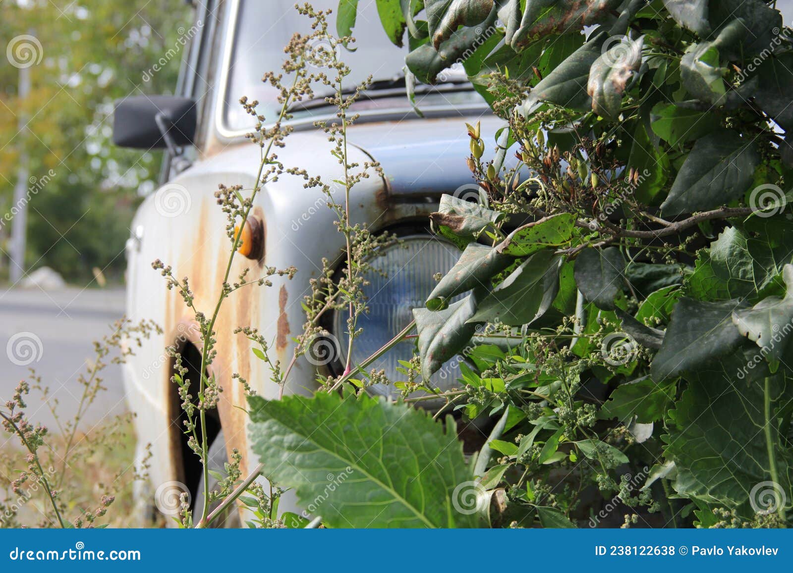 Old Junky Rusty Abandoned Car Sitting in the Bush Stock Photo - Image ...