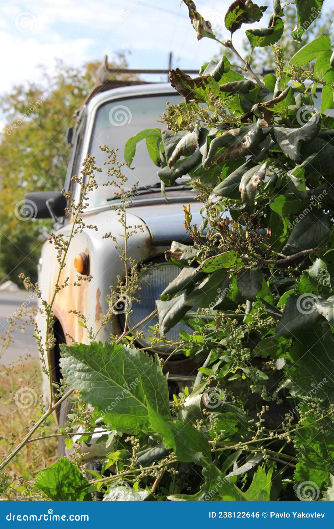 Old Junky Rusty Abandoned Car Sitting in the Bush Stock Photo - Image ...