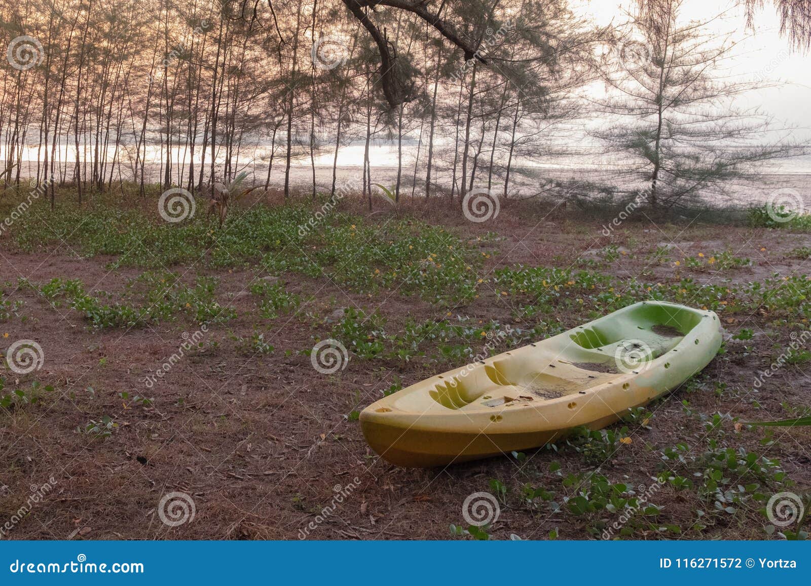 Old kayak on the beach stock photo. Image of lake, maui - 116271572