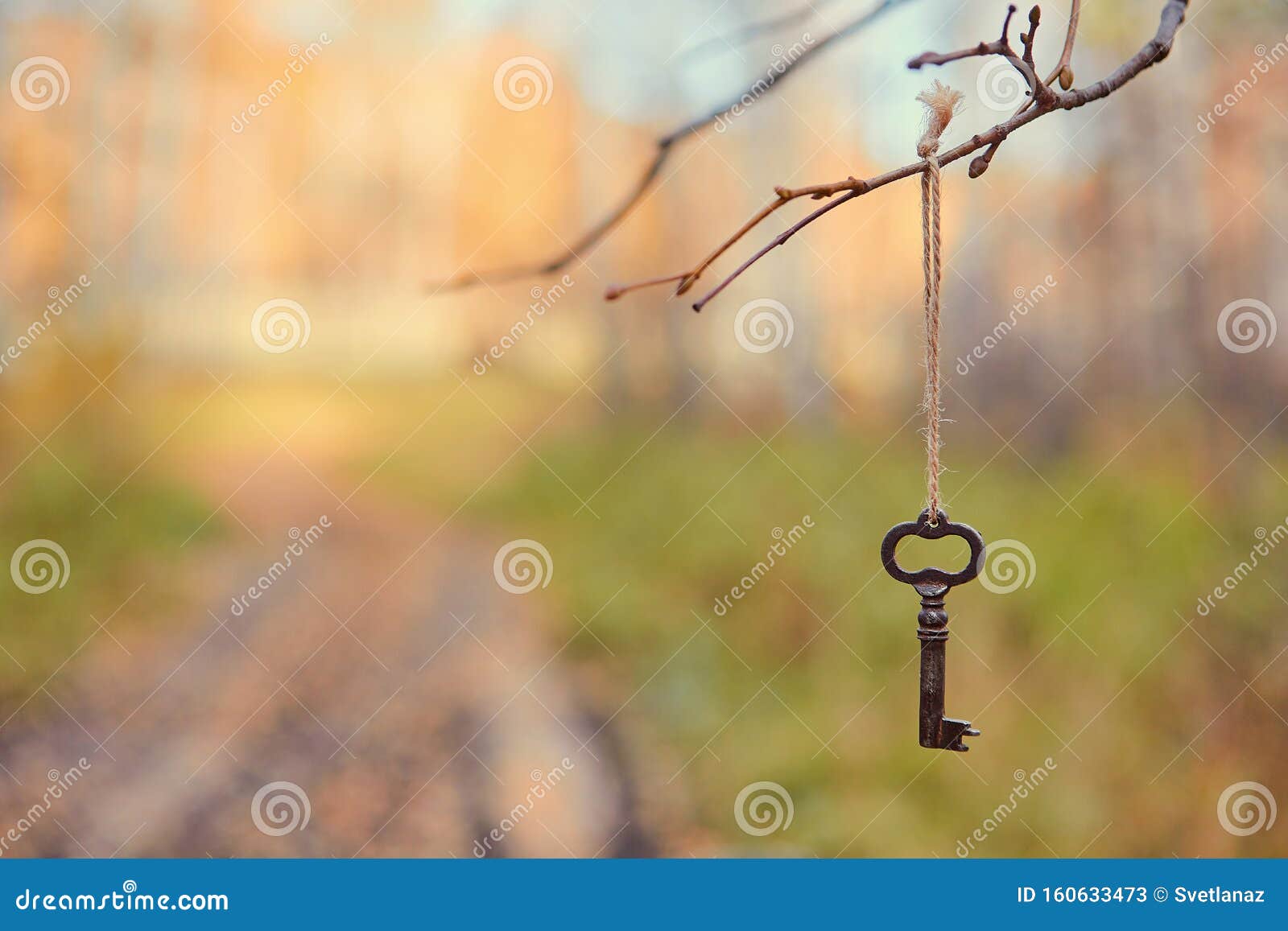 An Old Key Hangs on a Tree Branch, Against the Background of a Forest ...