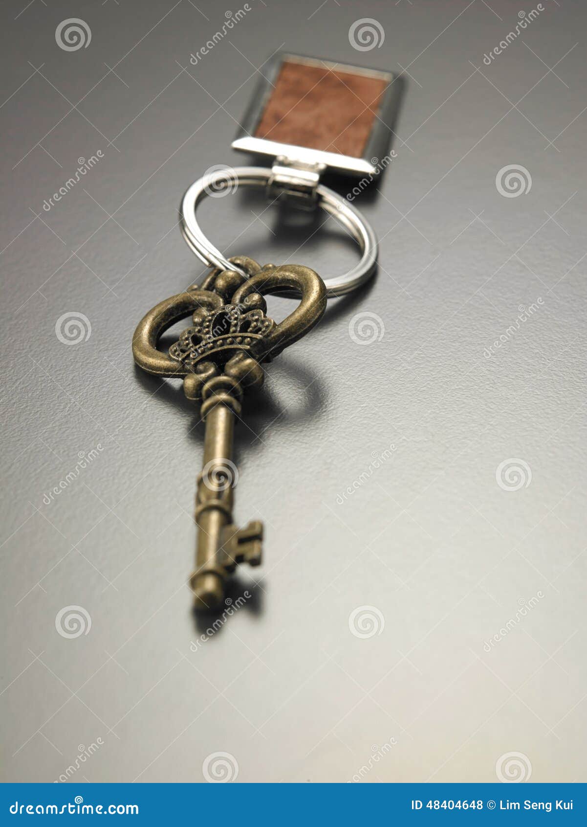 Old key with new key chain stock photo. Image of silver - 48404648