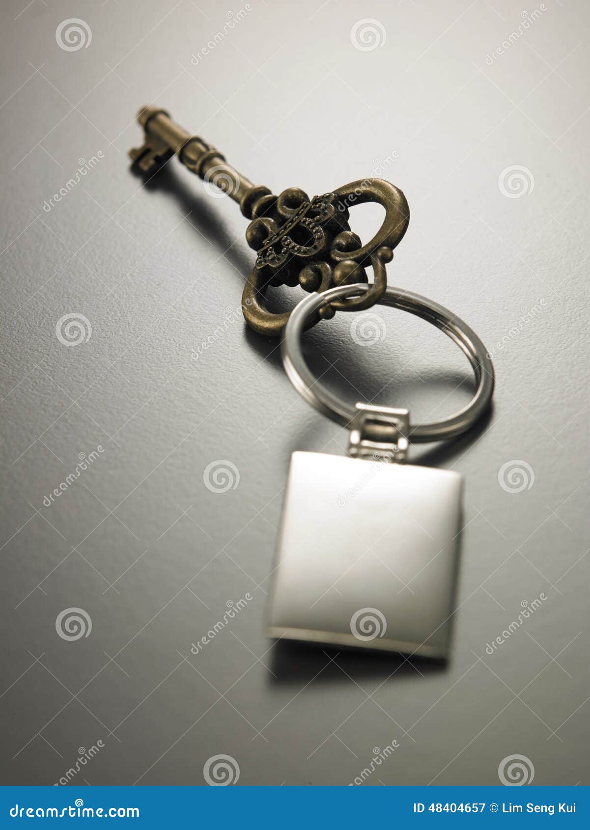 Old key with new key chain stock image. Image of design - 48404657