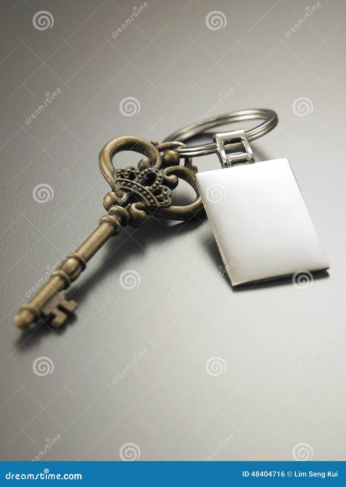 Old key with new key chain stock photo. Image of ring - 48404716
