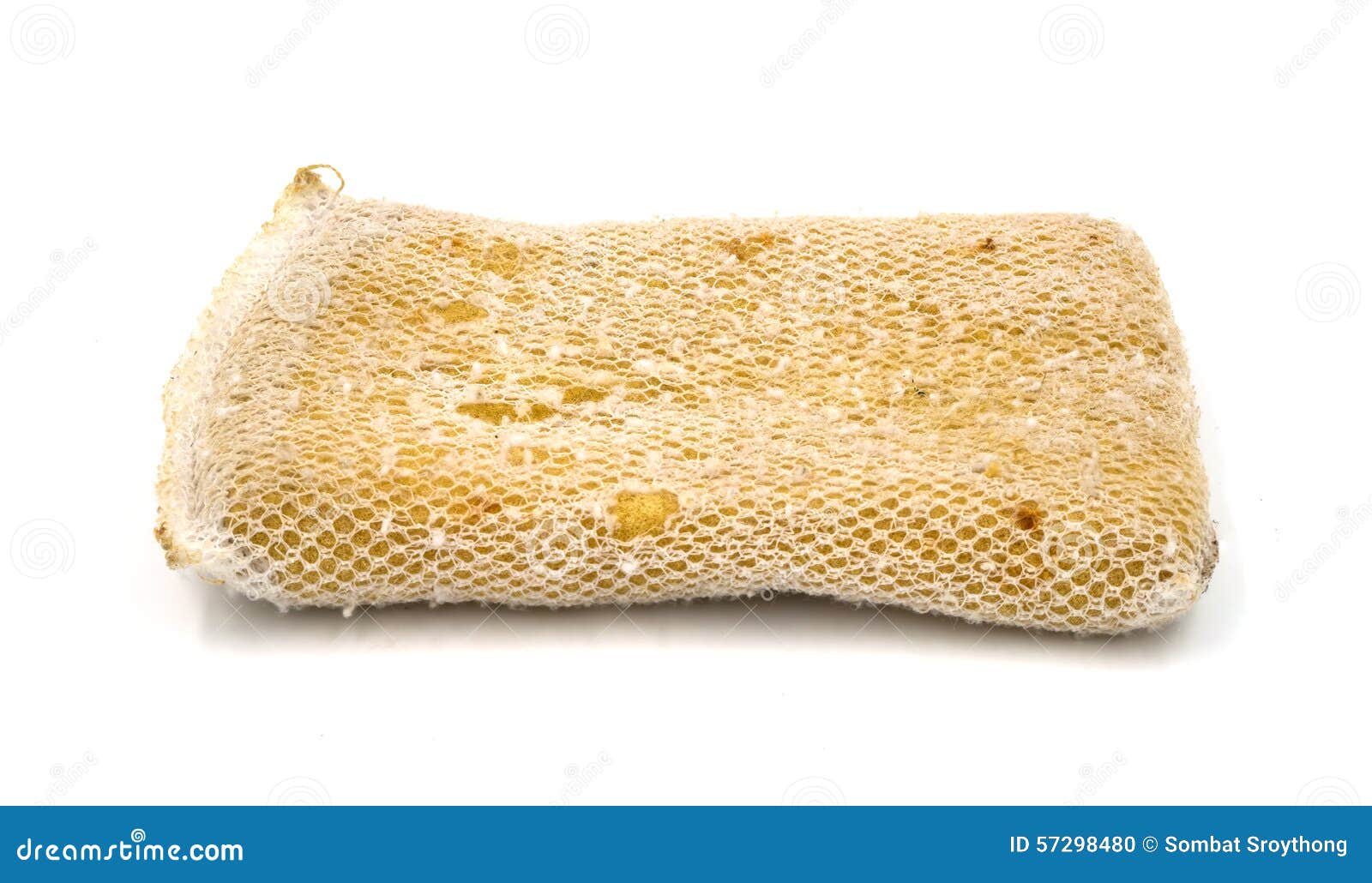 Old Kitchen Sponge on White Background. Stock Photo - Image of sponge ...
