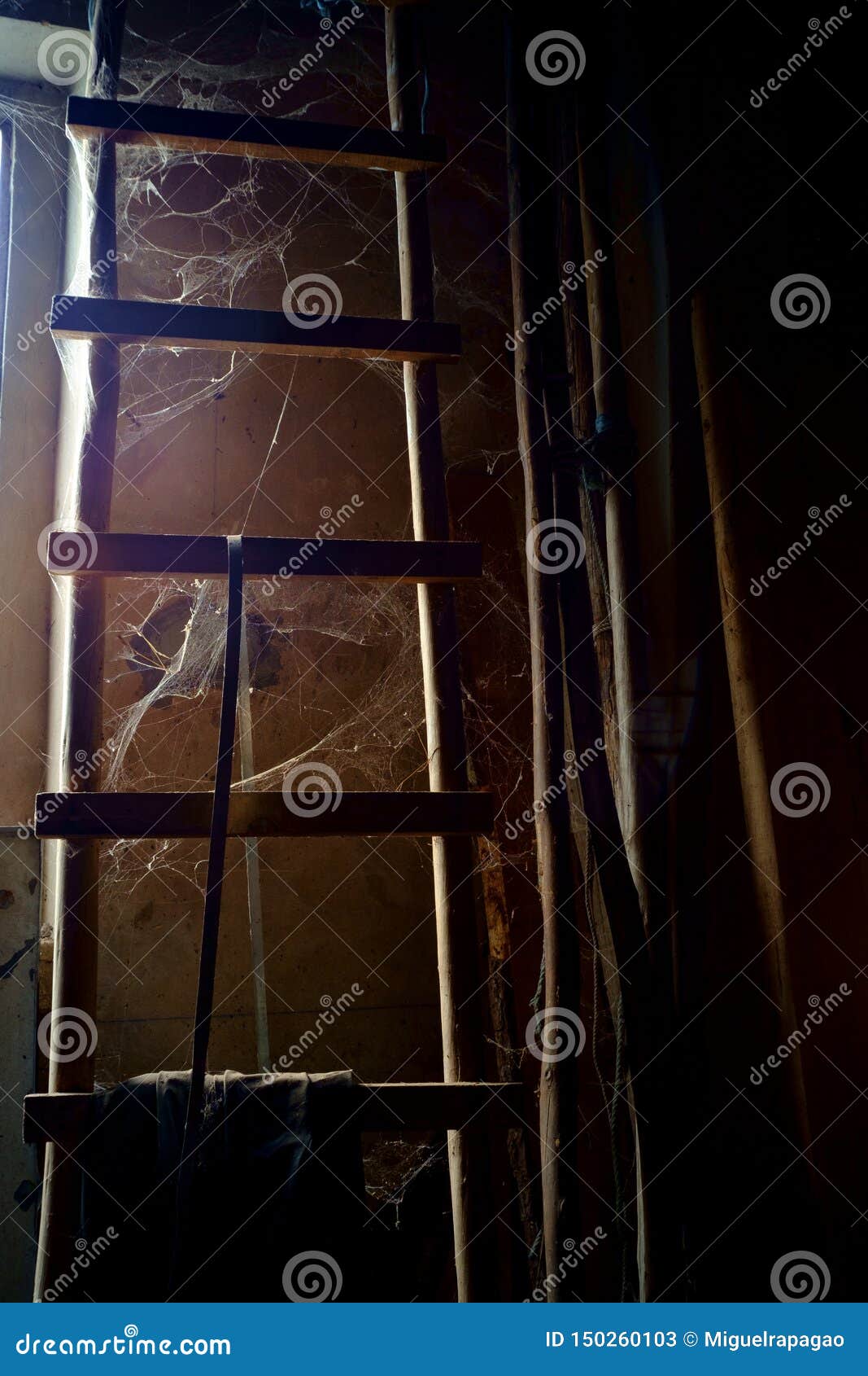 Old Ladder and Tools Full of Web Spider Stock Image - Image of flour ...