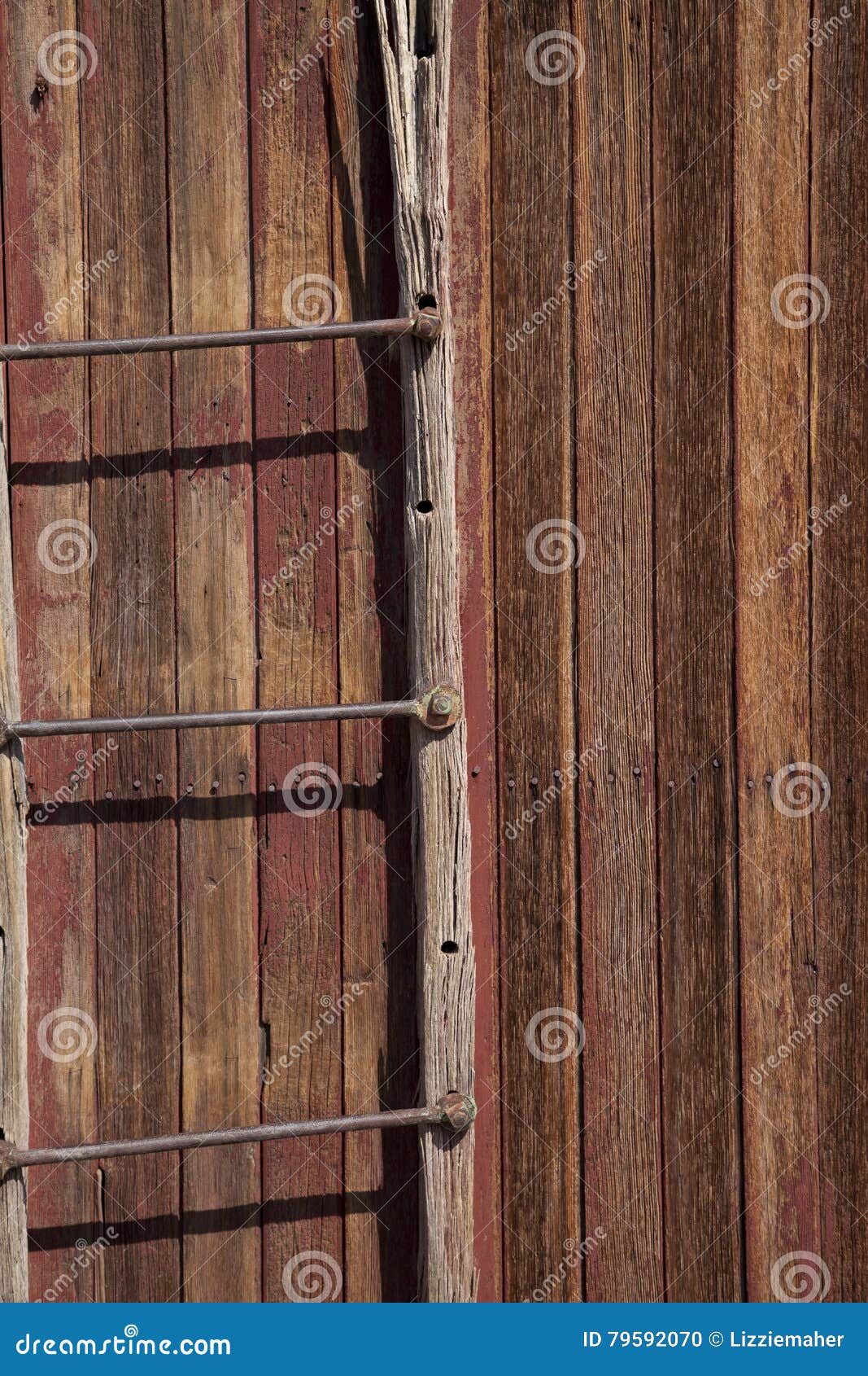 Old Ladder stock photo. Image of ladder, wood, panels - 79592070