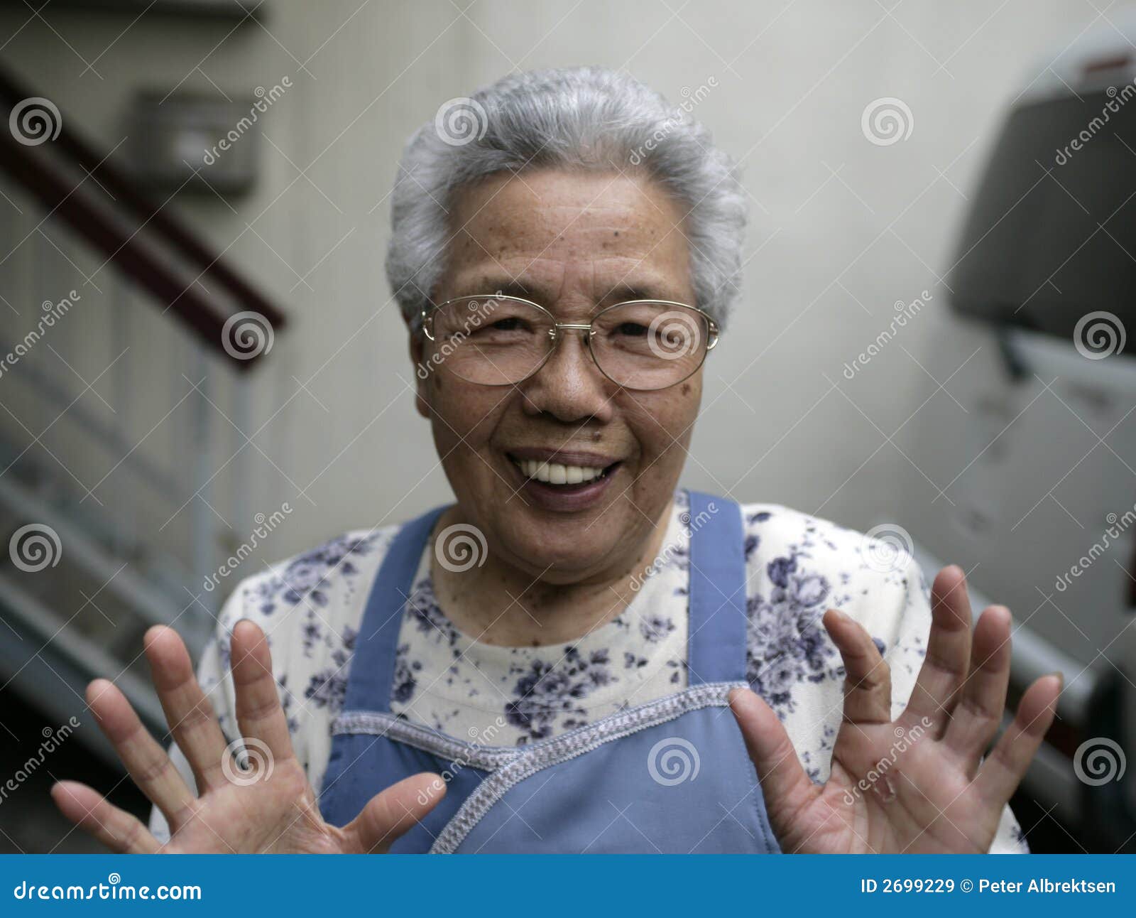 Old lady stock image. Image of happy, glasses, japanese - 2699229