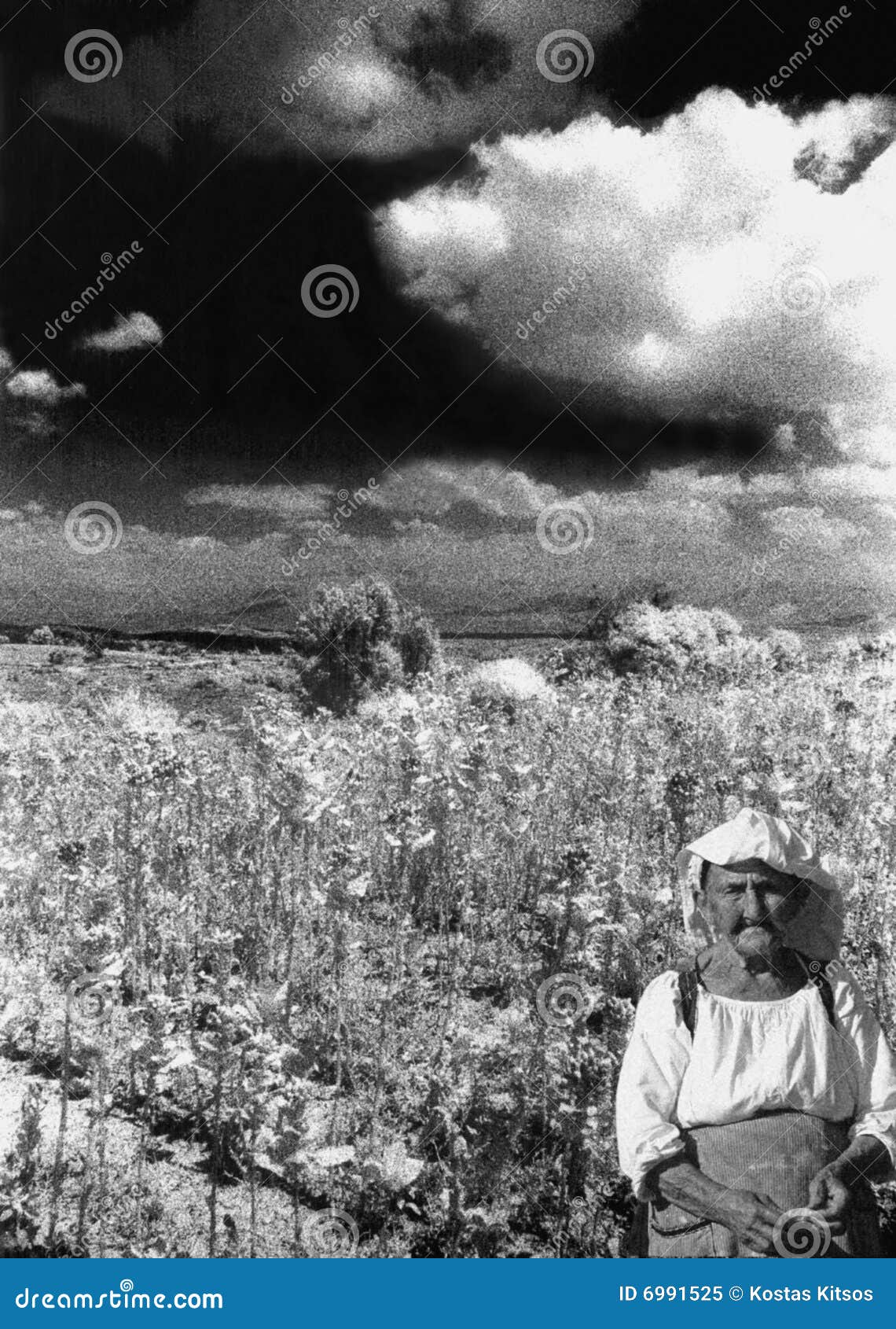 Old lady farmer stock image. Image of farmer, infrared - 6991525