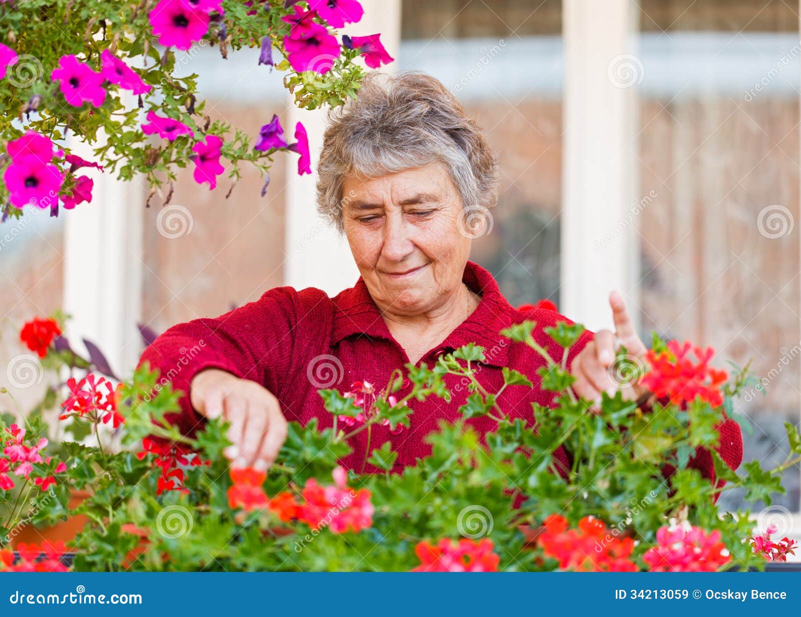 Old lady with flowers stock image. Image of lifestyle - 34213059