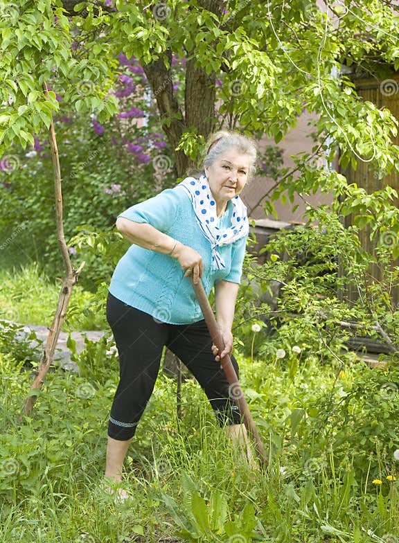 Old lady in garden stock image. Image of dandelion, nature - 27869719