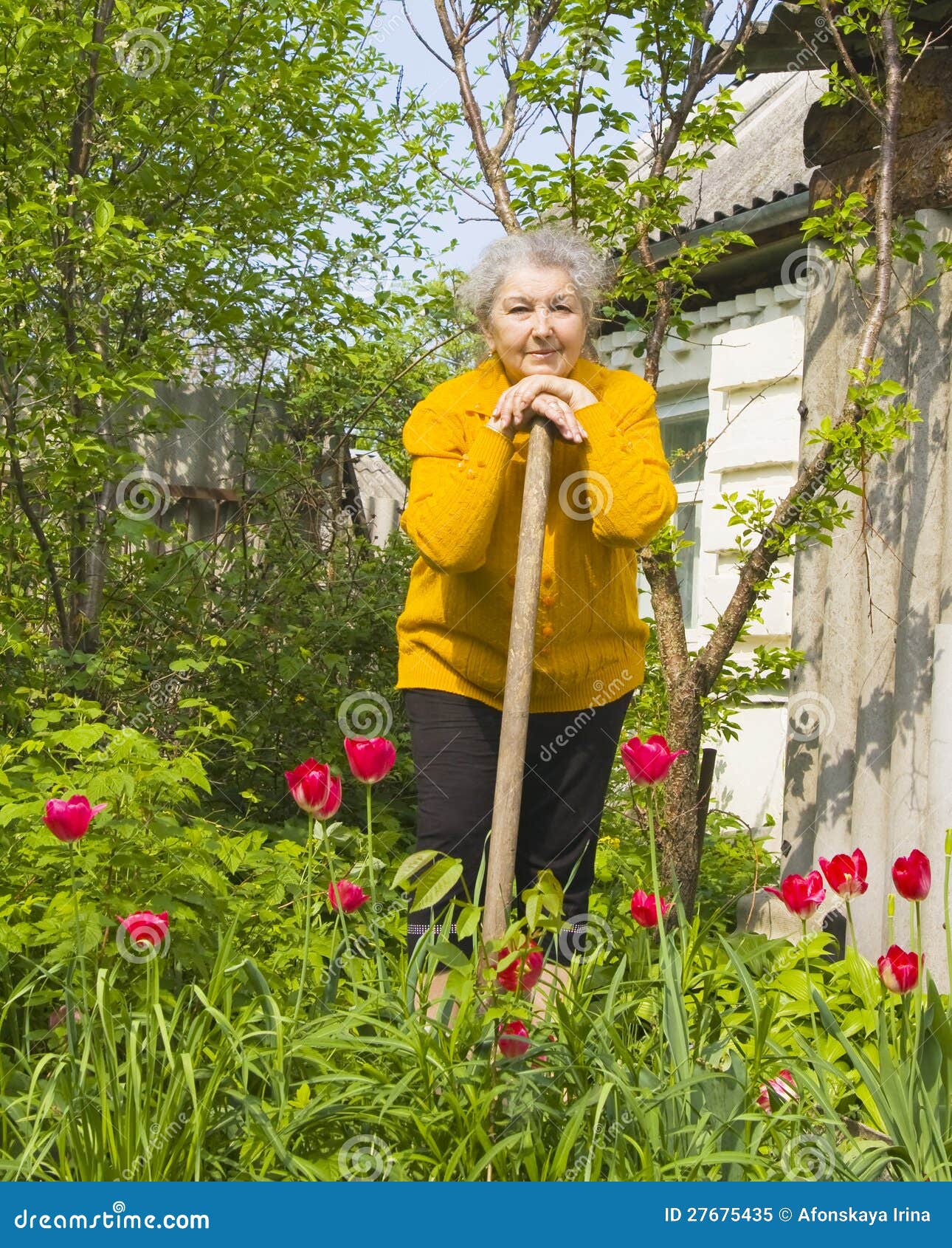 Old lady gardening stock image. Image of caucasian, garden - 27675435