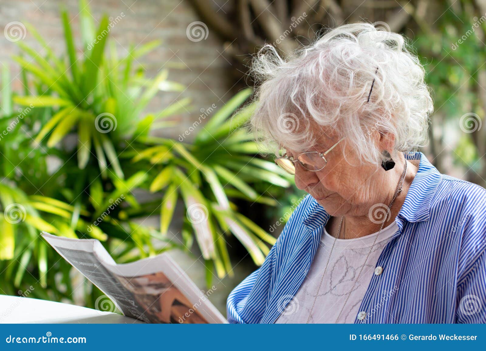 Old lady reading stock photo. Image of looking, pensioner - 166491466