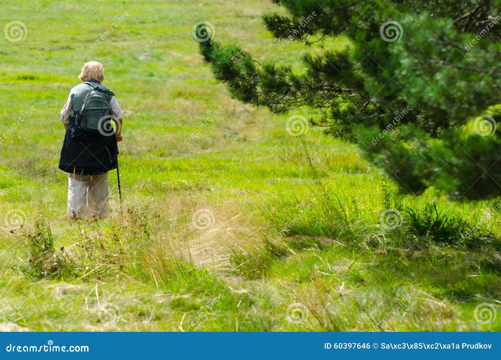 Old Lady Walking in Nature on Sunny Spring Day Stock Photo - Image of ...