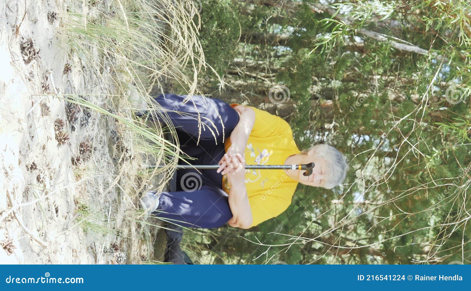 The Old Lady with the Walking Stick Infront of Her. Vertical Format ...