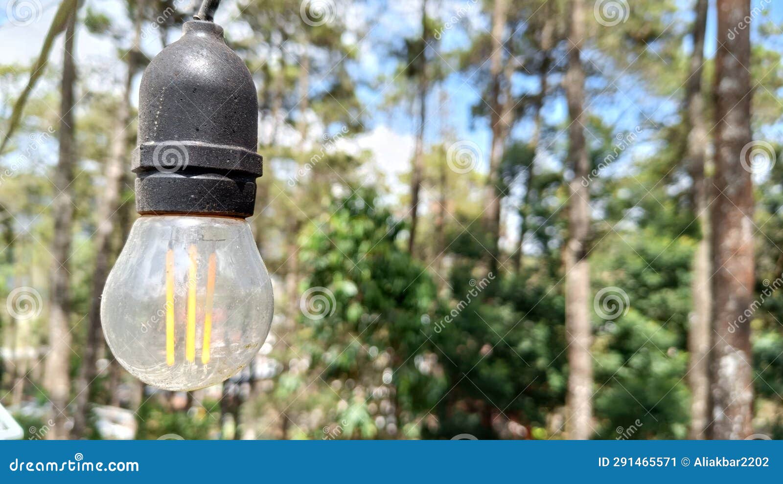 An Old Lamp Burning in the Middle of the Forest Stock Image - Image of ...