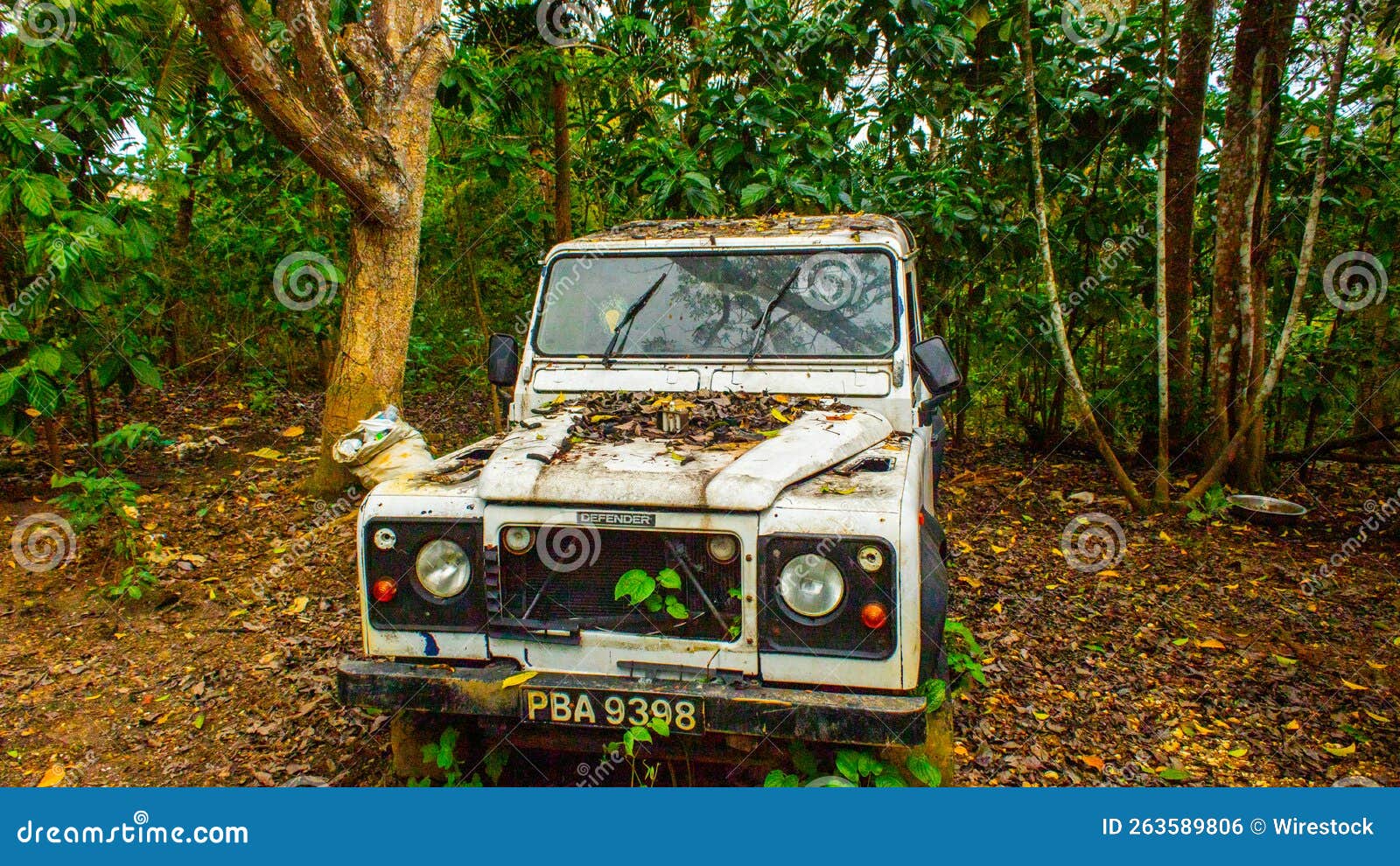 Old Land Rover Defender in the Forest Editorial Photo - Image of ...