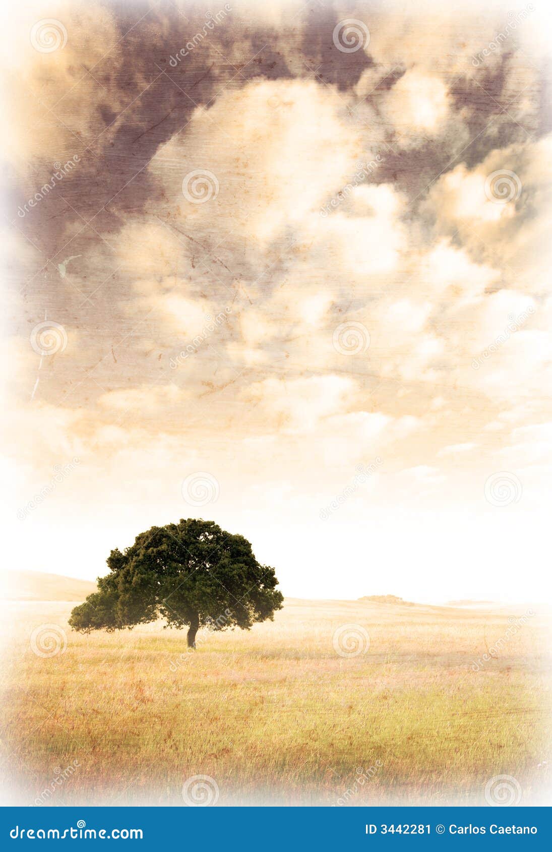 Old Landscape stock image. Image of empty, decay, antique - 3442281