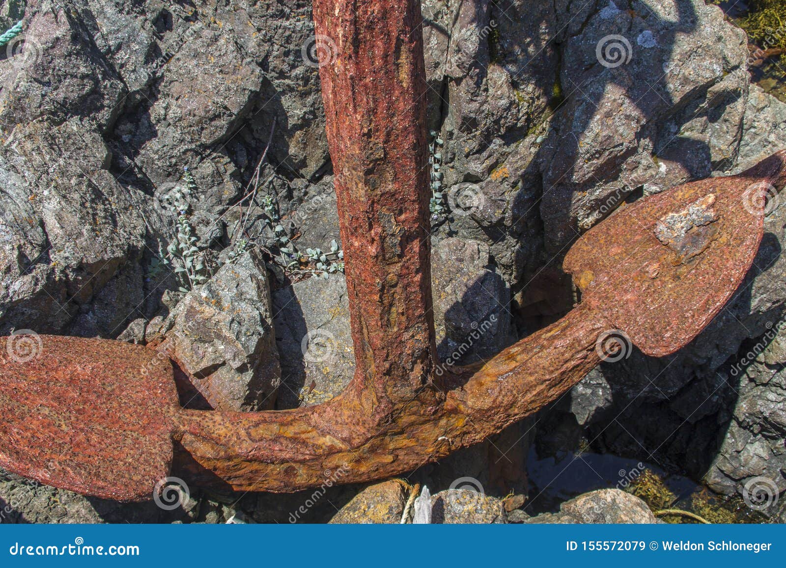 Old Large Rusty Anchor, Newfoundland Stock Image - Image of vintage ...