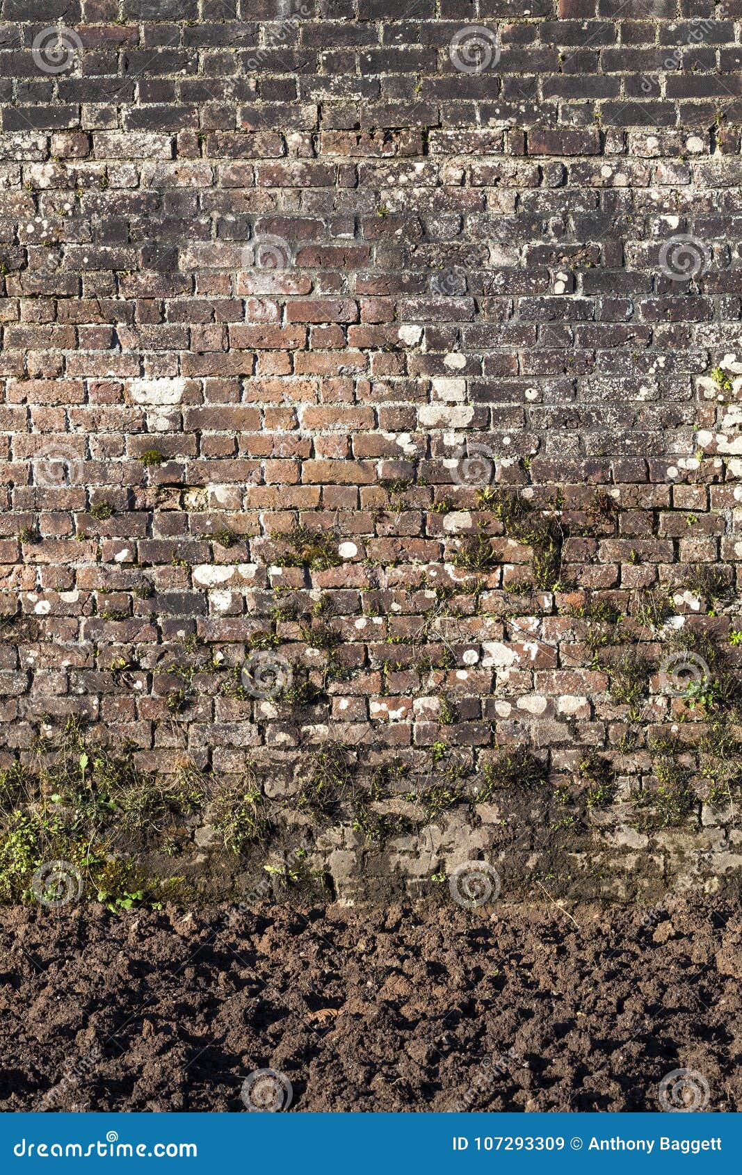 Old Large Weathered Brick Wall Stock Image - Image of blank, exterior ...