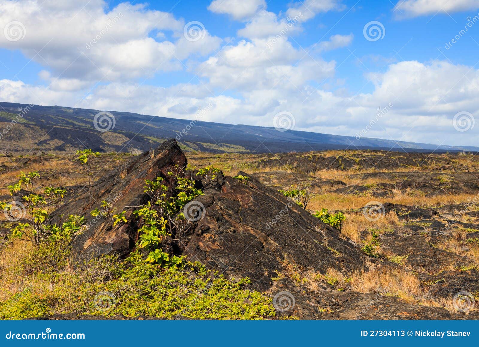 Old Lava Field in Hawaii stock image. Image of states - 27304113
