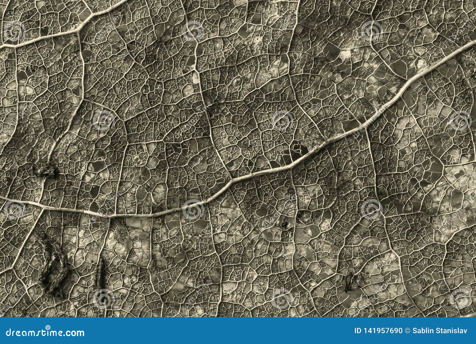 Old Leaf Macro Texture. Gold Texture of the Sheet. Stock Photo - Image ...