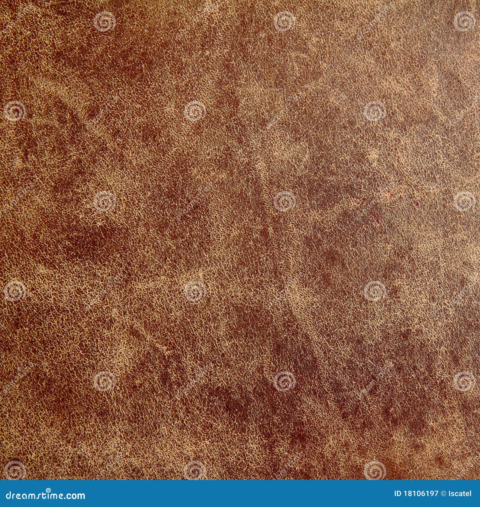 Old leather stock image. Image of frame, clothing, design - 18106197