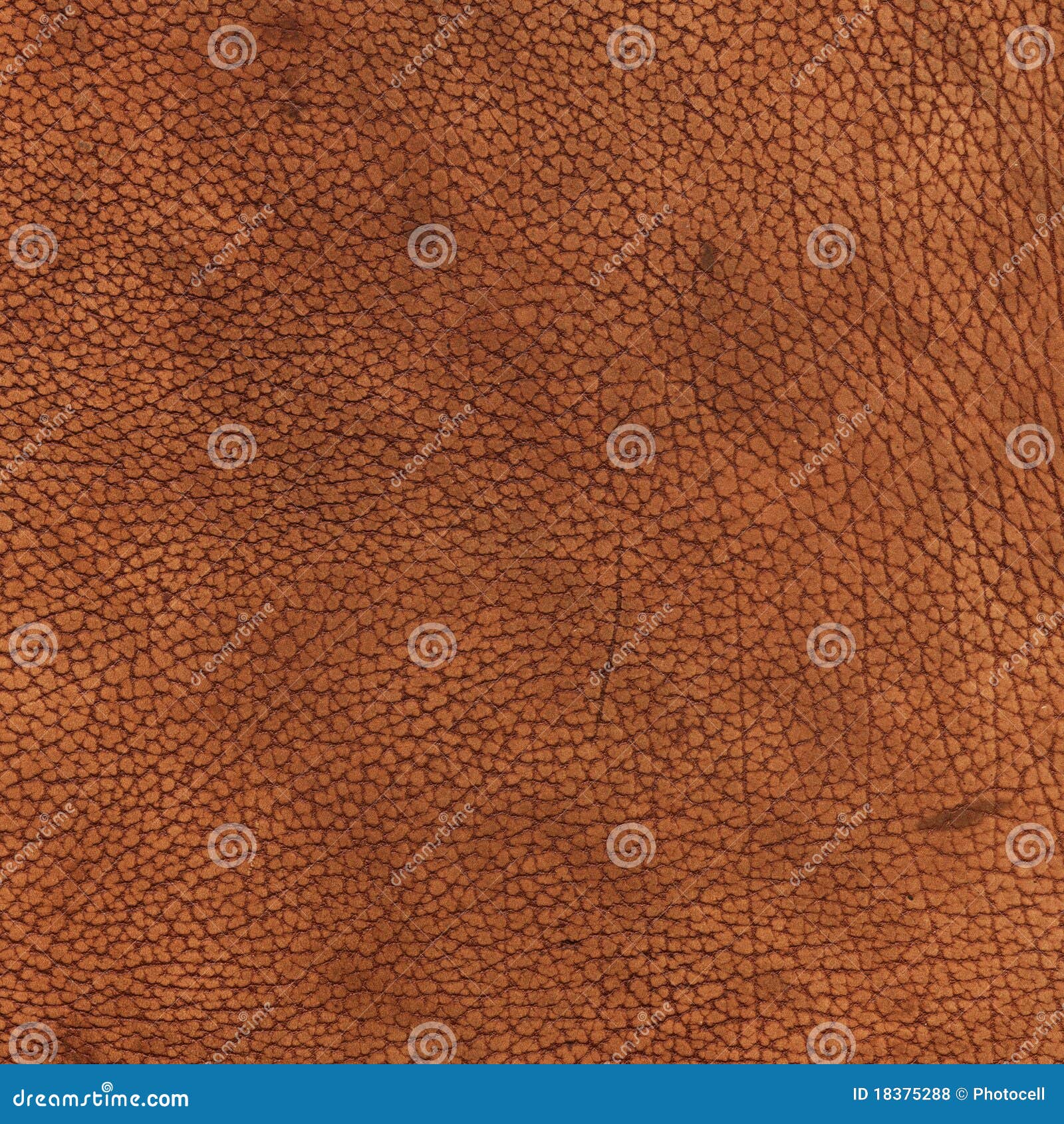 Old leather stock photo. Image of material, color, blank - 18375288