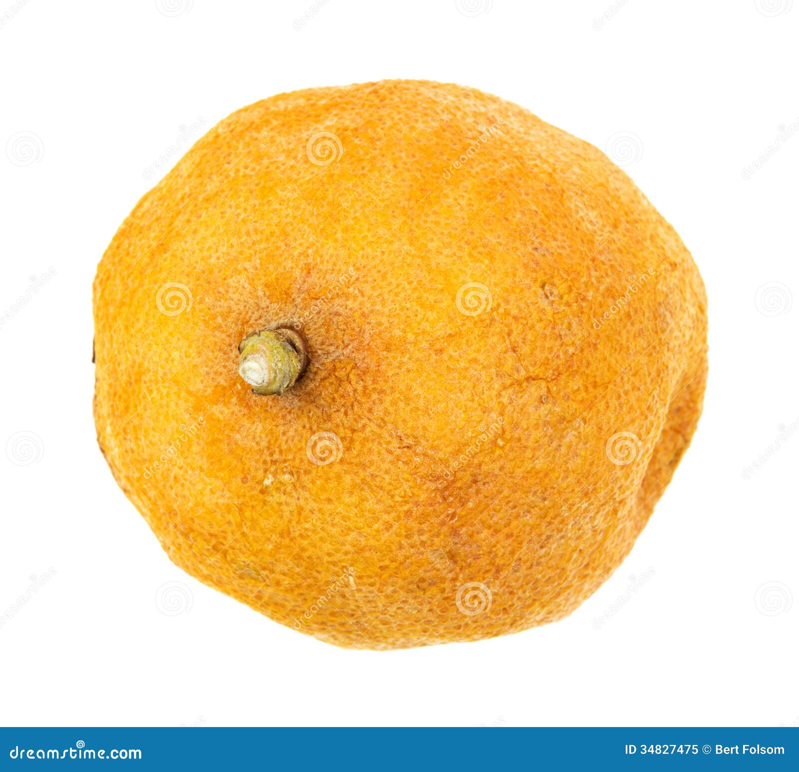 Old lemon stock image. Image of drying, citrus, isolated - 34827475