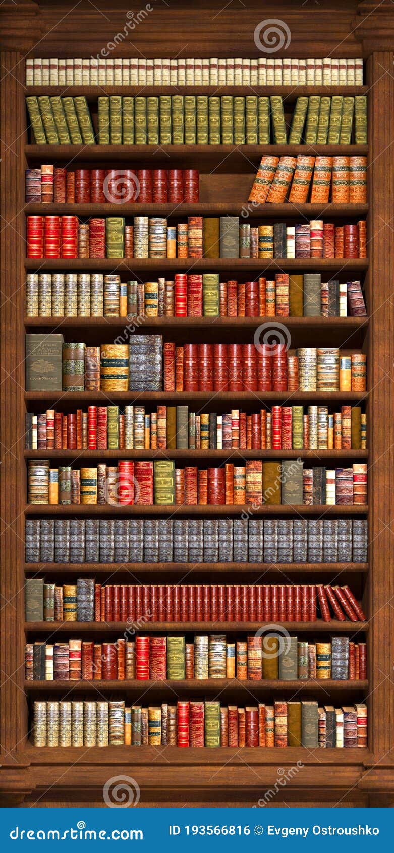 Old Library with Books on the Shelves Stock Illustration - Illustration ...