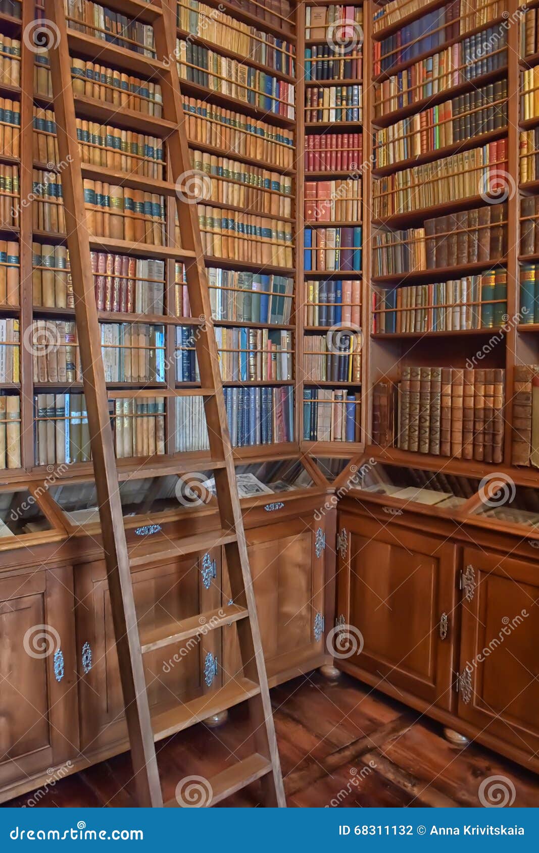 Old library in the castle editorial photography. Image of fine - 68311132