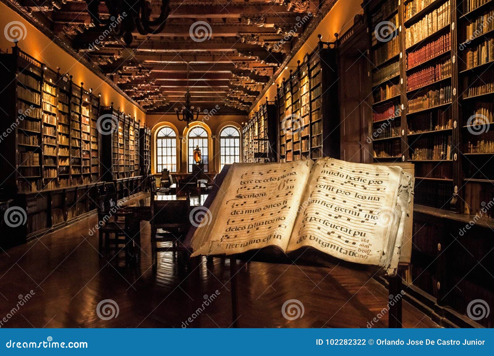 Old Library stock photo. Image of knowledge, library - 102282322