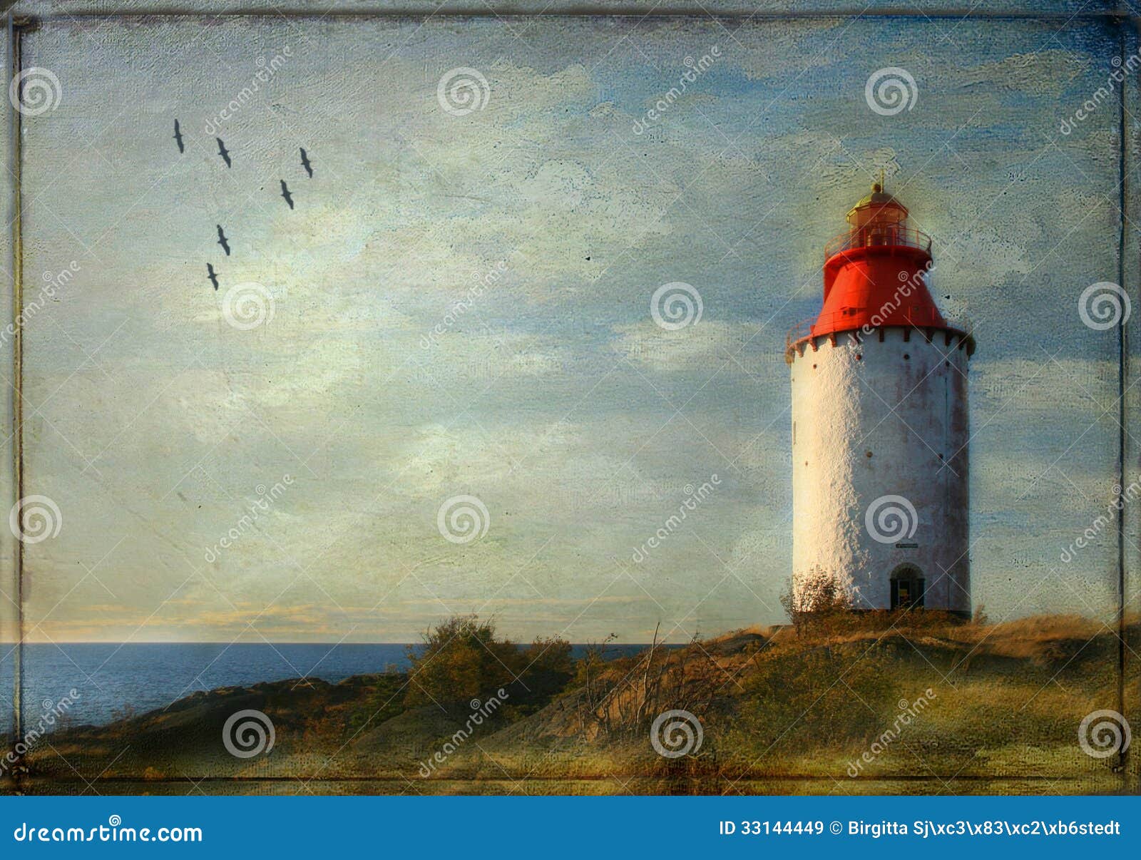 Lighthouses With Birds