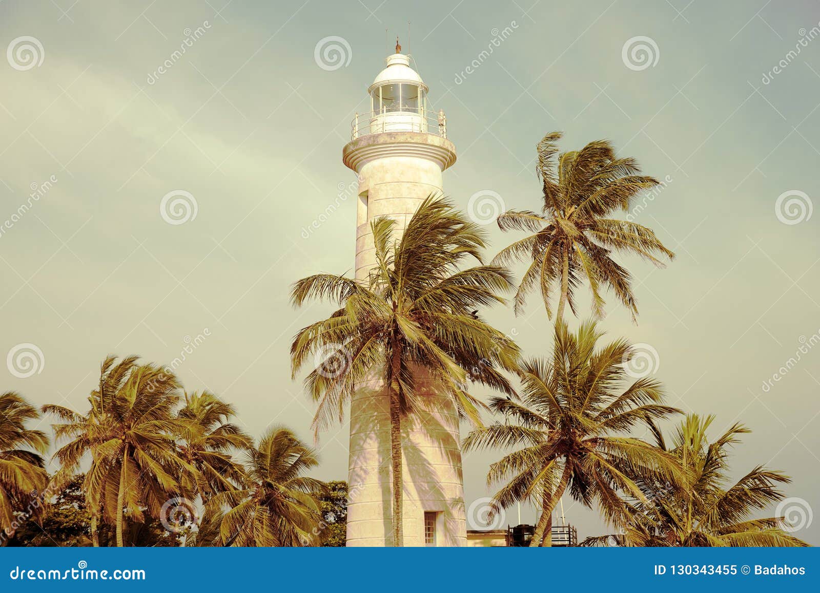 Old Lighthouse and Palm Trees N Stock Image - Image of landscape ...