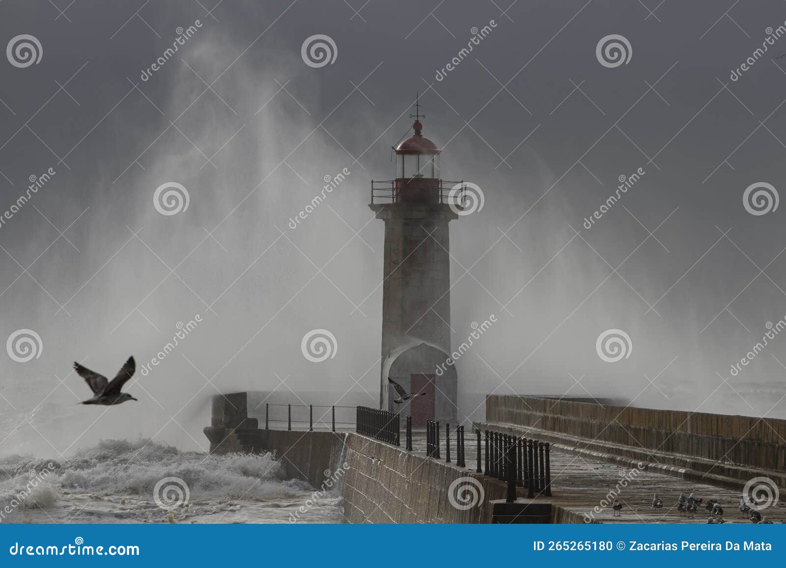 Heavy Storm Bringing Thunder, Lightnings And Rain Royalty-Free Stock ... Heavy Storm Bringing Thunder, Lightnings And Rain Royalty-Free Stock ...