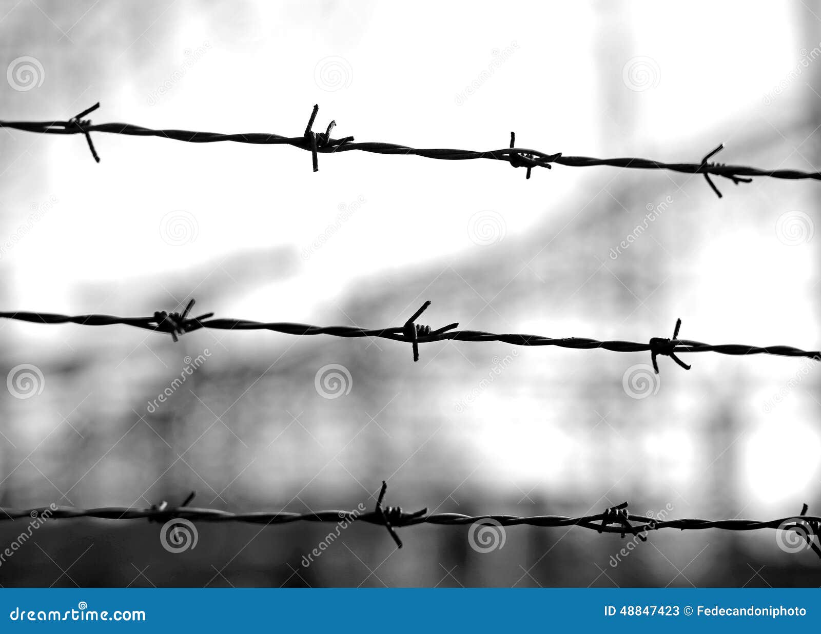 Old Lines of Barbed Wire To Demarcate the Border Stock Image - Image of ...