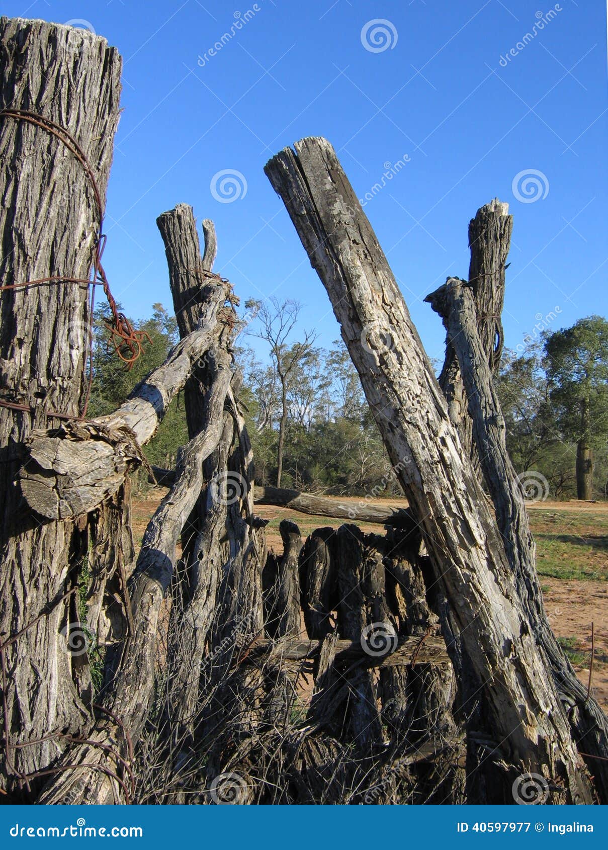 Old Loading ramo 2044 stock image. Image of tree, historical - 40597977